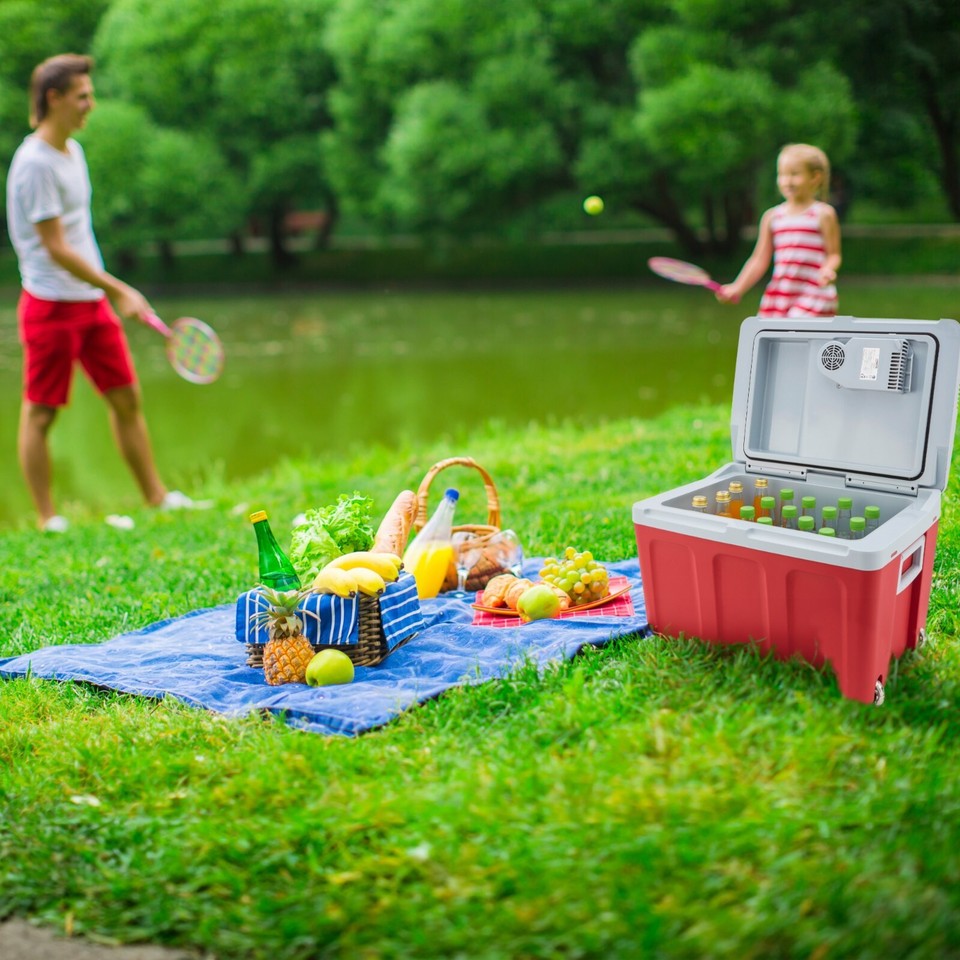 AREBOS cool box 40L car thermoelectric warming box 12V 230V ...