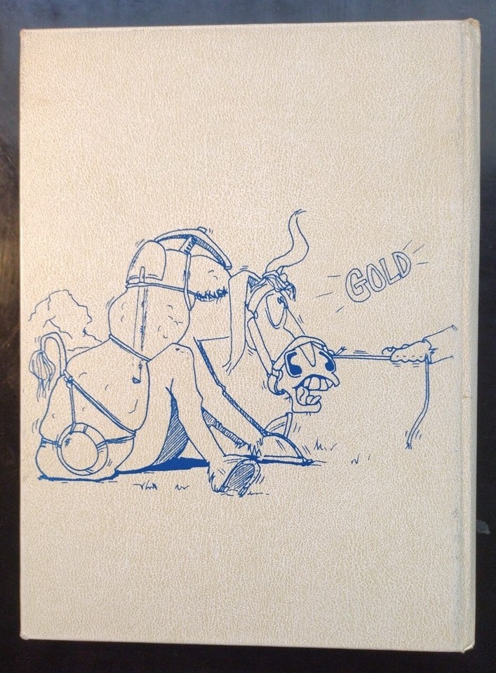 1983 HERBERT C. GREEN JHS Yearbook. (Diamond Springs, CA). VG Condition ...