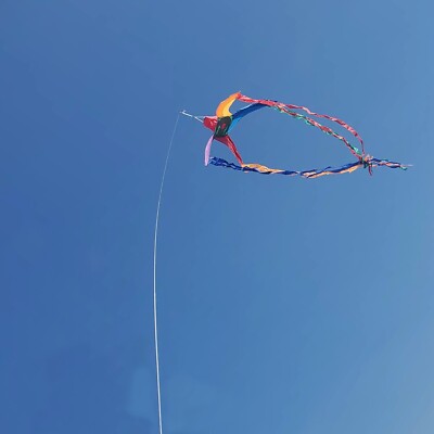 EEZ RV Products 23FT/32FT Fiberglass Telescoping WindSock Pole with ...