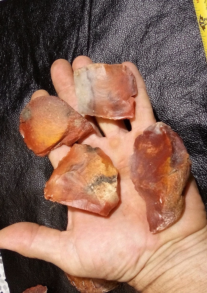 19 Rainbow Petrified Wood Flakes Tools Artifacts Arrowheads Native American | eBay