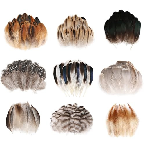270pcs 9 Styles Natural Bulk Feathers Assorted Mixed Feathers for DIY ...