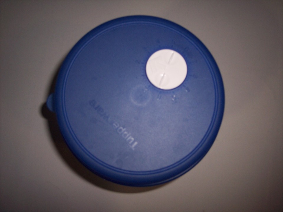Tupperware Freezer Mate Ice Cream Saver Round Blue Lid w/Smart Date ...