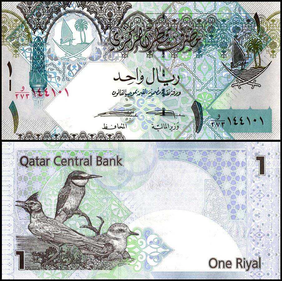 Qatari Riyal 100