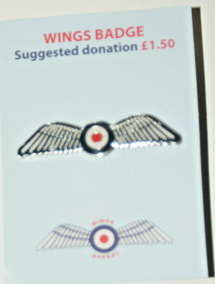 RAF enamel pin Badges Badge Royal air force fighter plane planes ...