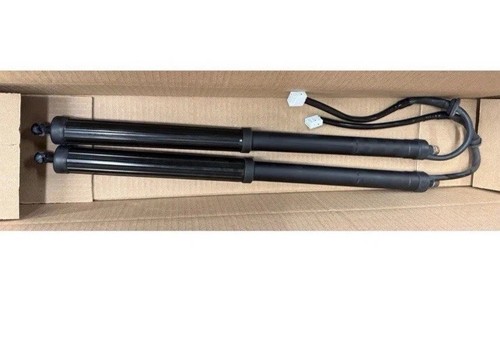 OEM 2022-2024 Toyota Sienna Both Rear Tailgate Shock / Power Strut ...