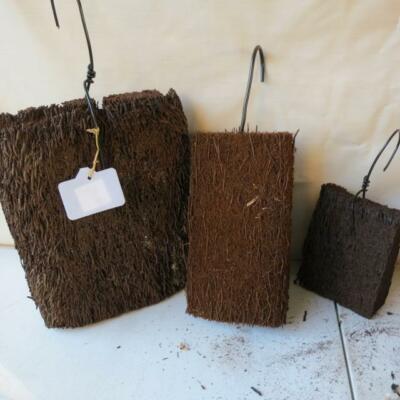 TREE FERN SLAB WITH WIRE HOOK Small approx 100mm x 130mm | eBay