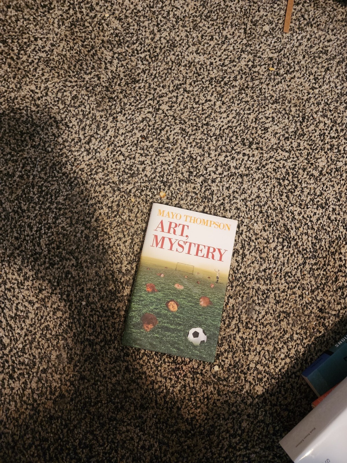 Mayo Thompson - Art, Mystery, hardcover, NEAR MINT | eBay