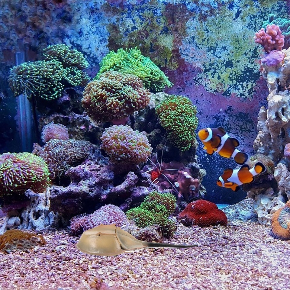 Realistic Sea Animal Artificial Limuloid Fake Lifelike Fish for Cabinet ...