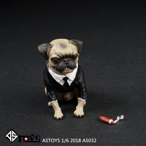 ASTOYS 1/6 AS032 Pug dog & cigar set Fit 12" Man in black Action Figure ...