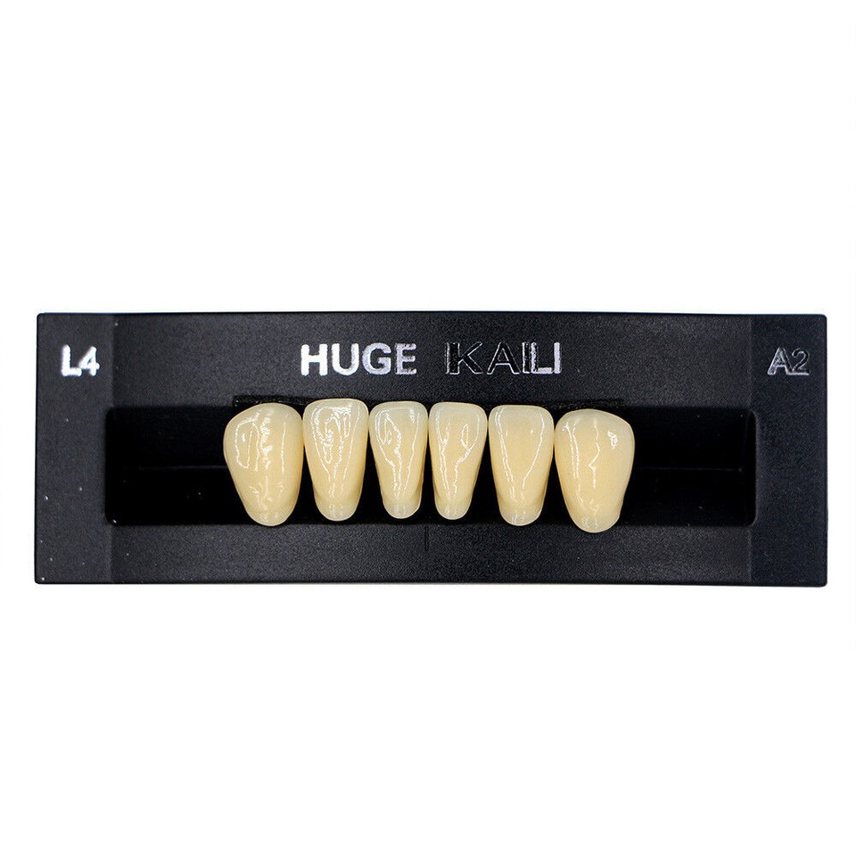112Pcs/Pack HUGE KAILI Dental Synthetic Polymer Resin Teeth T2/T4/T6/T8 ...