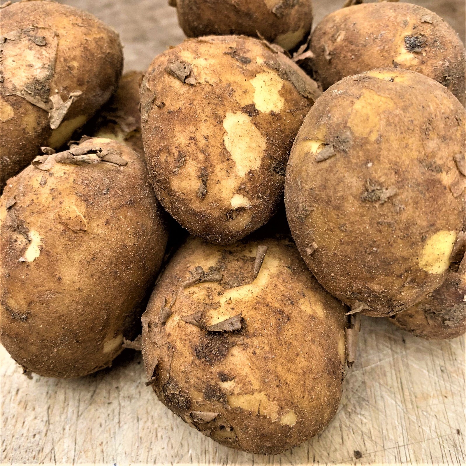 Seed Potatoes Certified Scottish Crops, Many Varieties Available | eBay UK