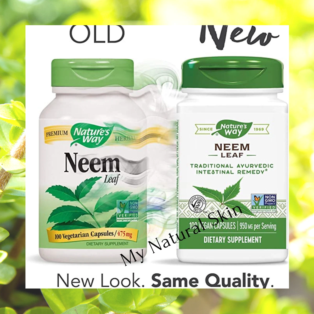 Neem Leaf Capsules