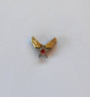 AFA Pin Silver Star with Red Dot Gold Wings..Used..From 1930s or 1940s ...