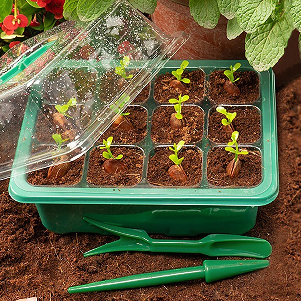 5PCs Seed Starter Trays with Grow Light Seed Growing Starting ...
