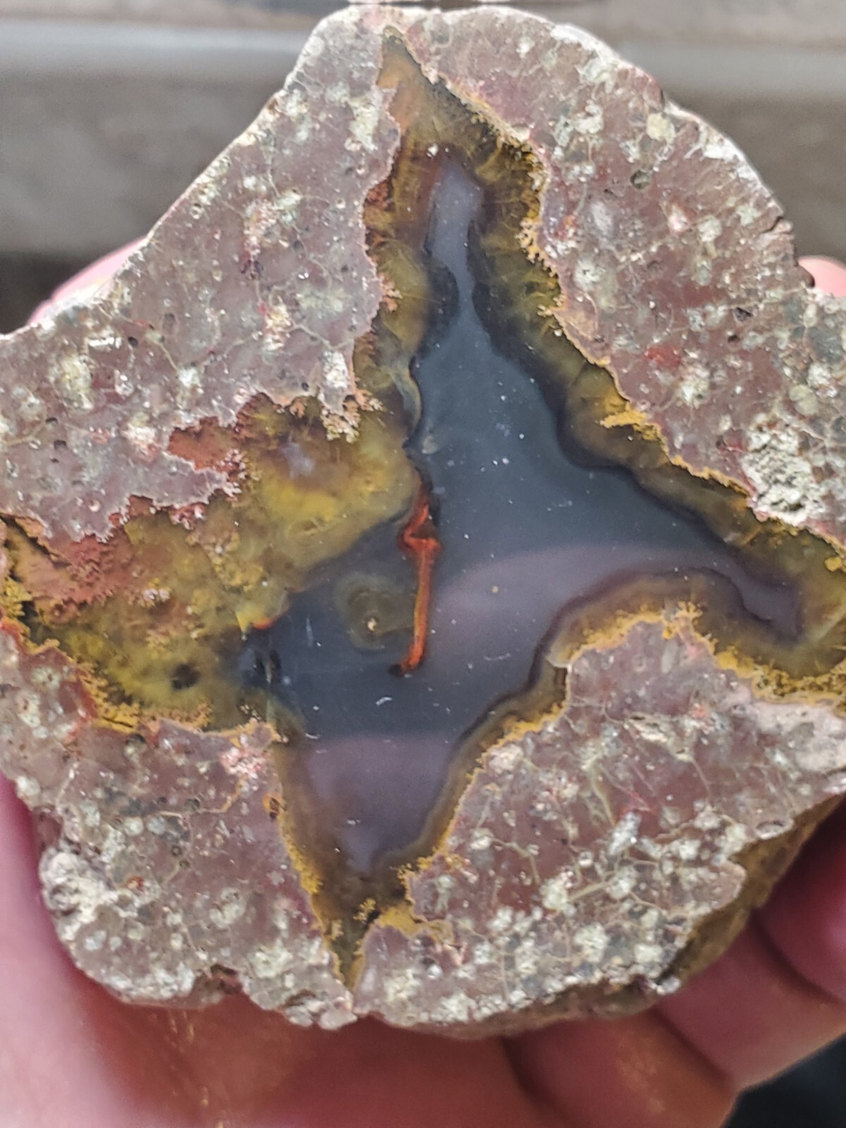 Richardson Ranch Blue Bed Banded Geode Thunderegg Priday Agate Madras ...