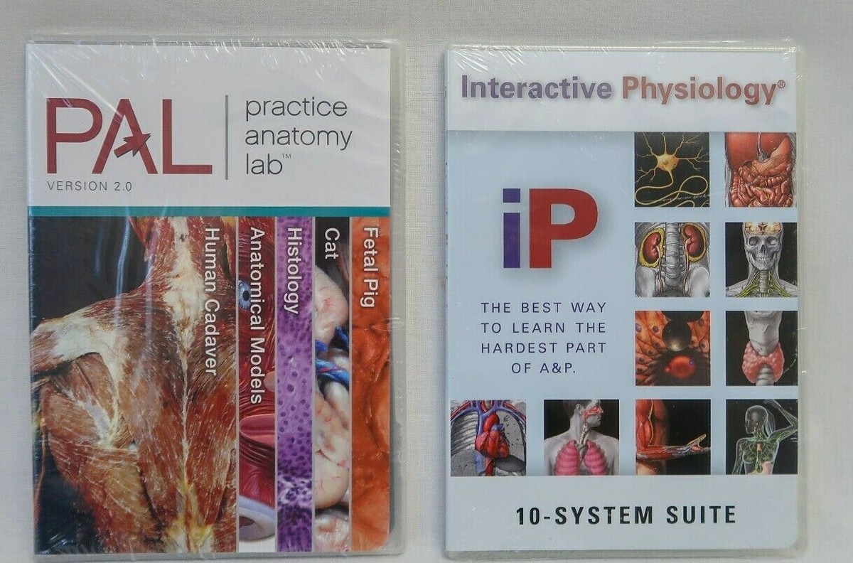 Anatomy Lab Practical Anatomy Diagram Book