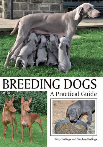 Breeding Dogs : A Practical Guide by Stephen Hollings and Patsy ...