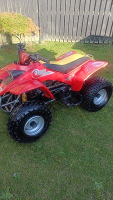 Quadzilla ram 100cc quad bike lt80 Apache cobra Eton viper | eBay UK