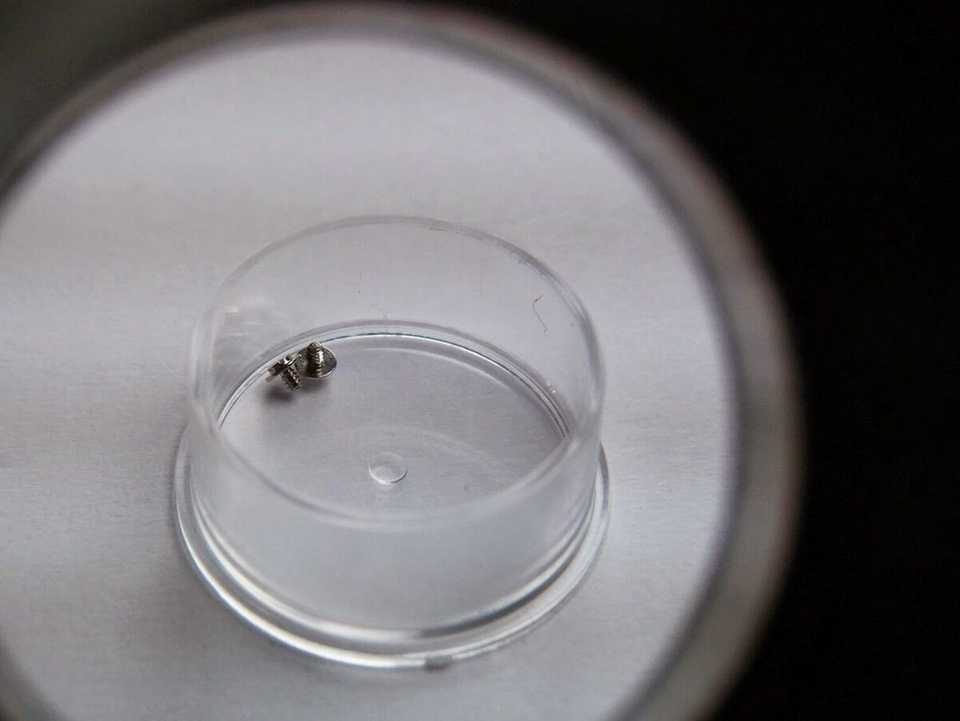 Rolex Watch Parts, 2230 5100 Rolex Case Screw for watch repair | eBay