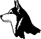 Coon Hunting Decal VC0016 Die Cut Hunting Graphics for Truck Windows ...