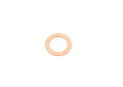 BMW Crush Washer Seal Gasket Ring 10 mm x 15 mm 9905041 07119905041 | eBay