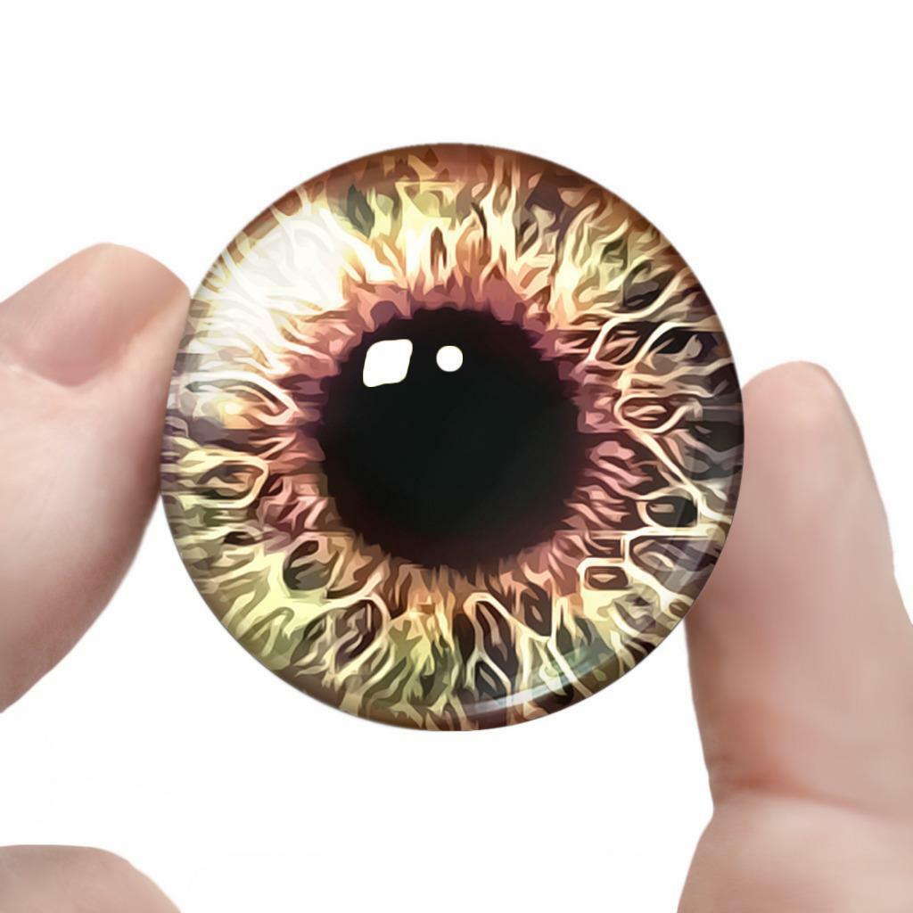 Large Glass Eyes Multi-Color Taxidermy Eyeball Craft Set 35mm | eBay