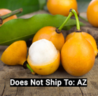 Achacha Fruit Tree Garcinia Humilis Live Indoor/Outdoor Plant Potted 1 ...