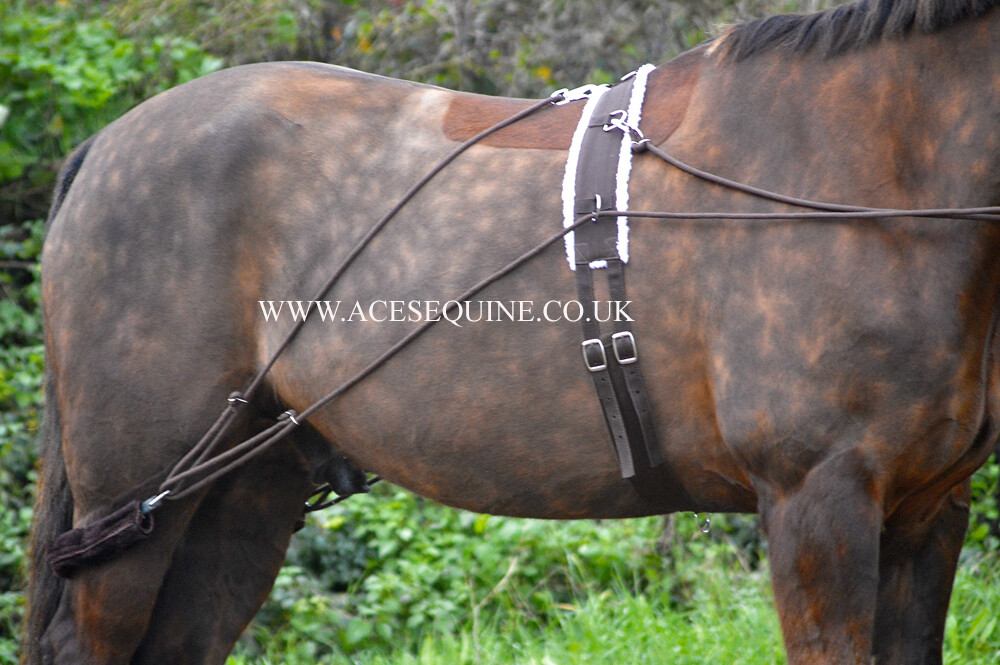 Horse Lunging Training Aid With Body Roller Pad Set Black and Brown ...