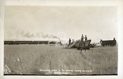 Harvesting in Madras country O.W.R.N.R.Y. Central Oregon 1912 RPPC ...