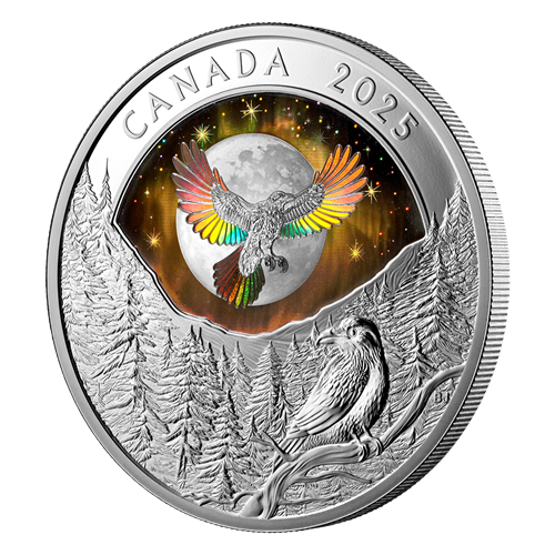 2025 Moon Sky Raven Glow in the Dark 1oz .9999 silver coin Canada | eBay