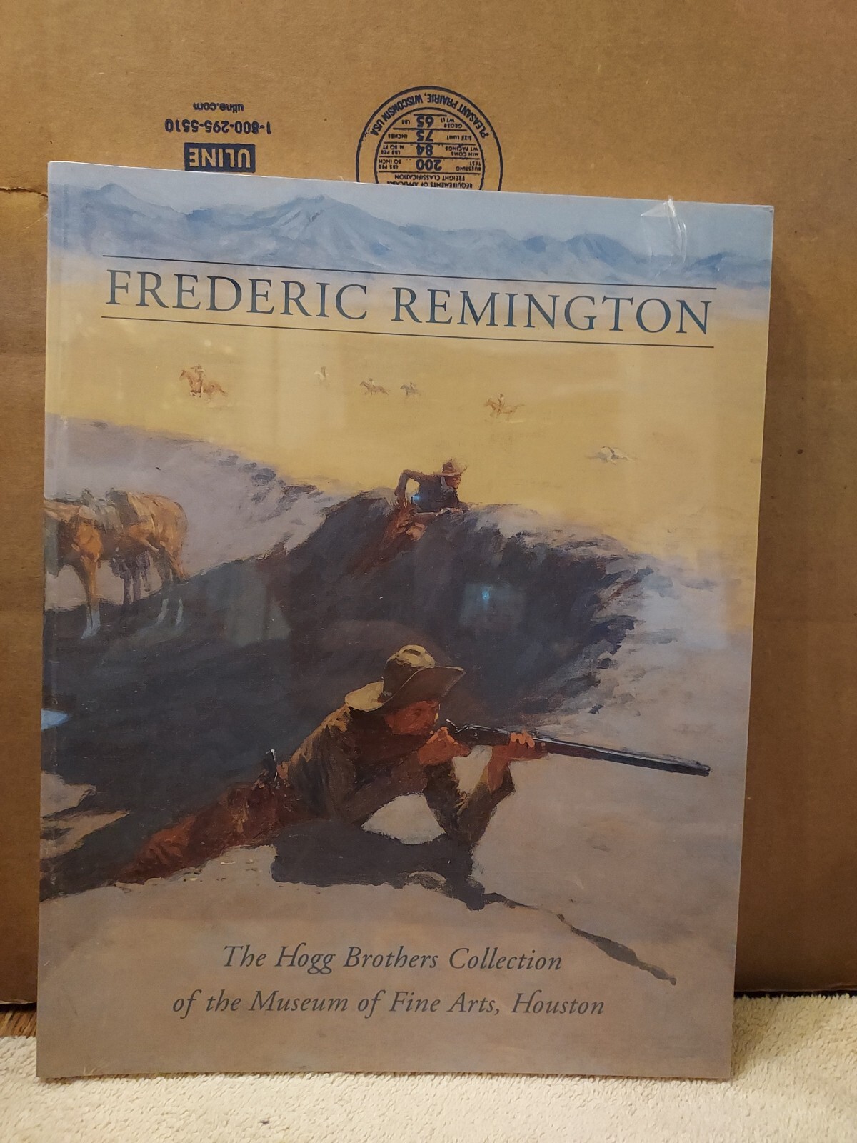 Frederic Remington : The Hogg Brothers Collection of the Museum of Fine ...