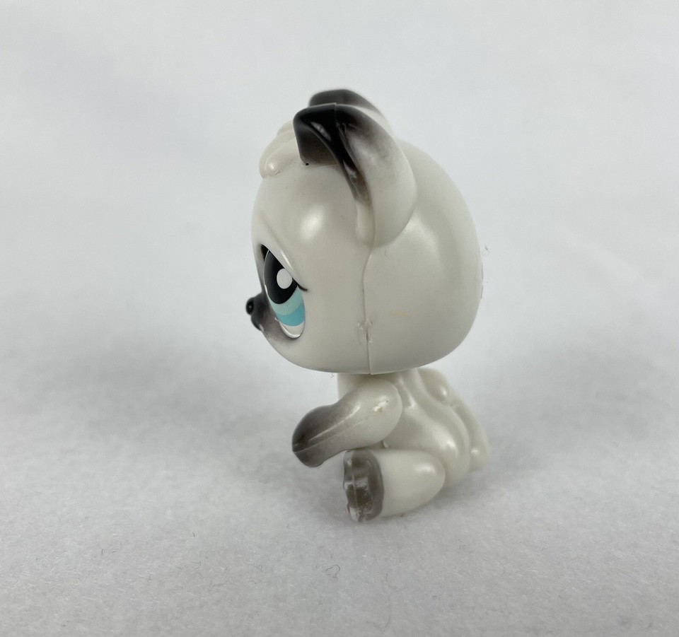 RARE Lot 2 LPS Littlest Pet Shop 1st Gen edition Cats SHC moving tongue ...