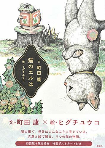 The cat El Picture Book Stories : Machida Kou Illustration : Higuchi ...