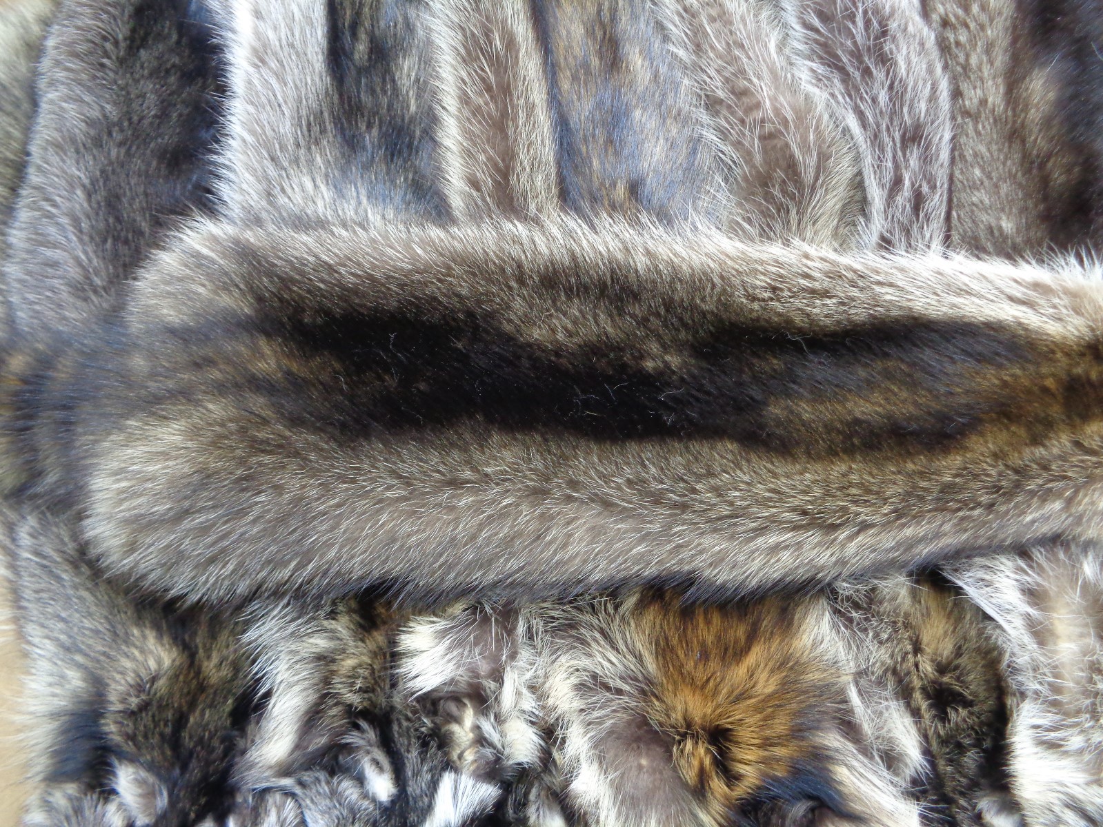 Professionally Tanned Slt Damage XL Raccoon/Coon Hides/Furs/Taxidermy ...