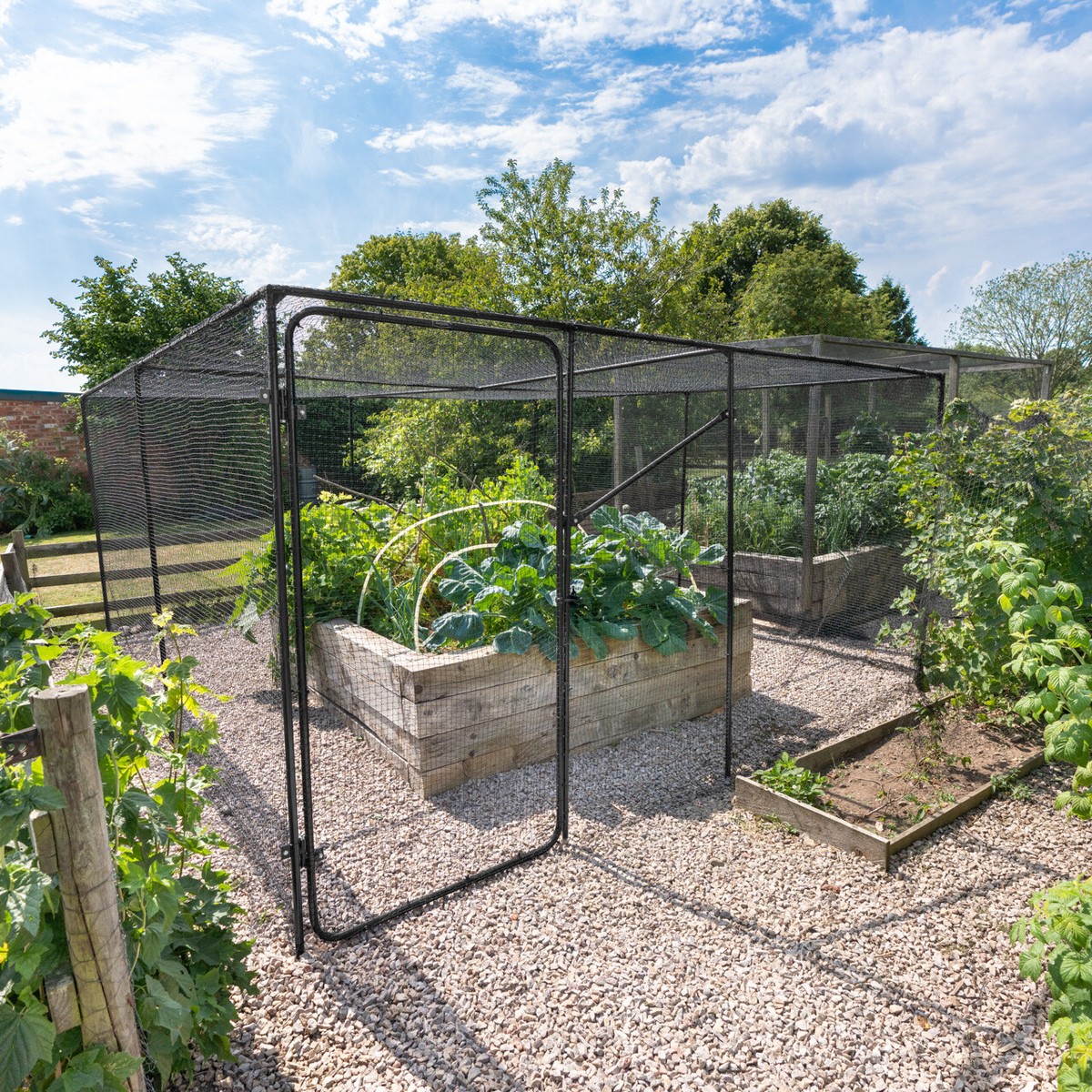 Garden Bird Netting Frame | Fasci Garden