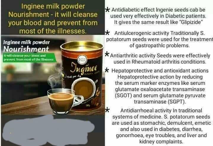 INGINEE MILK Clearing Nut for Blood Purify, Energy Herbal Milk Powder ...