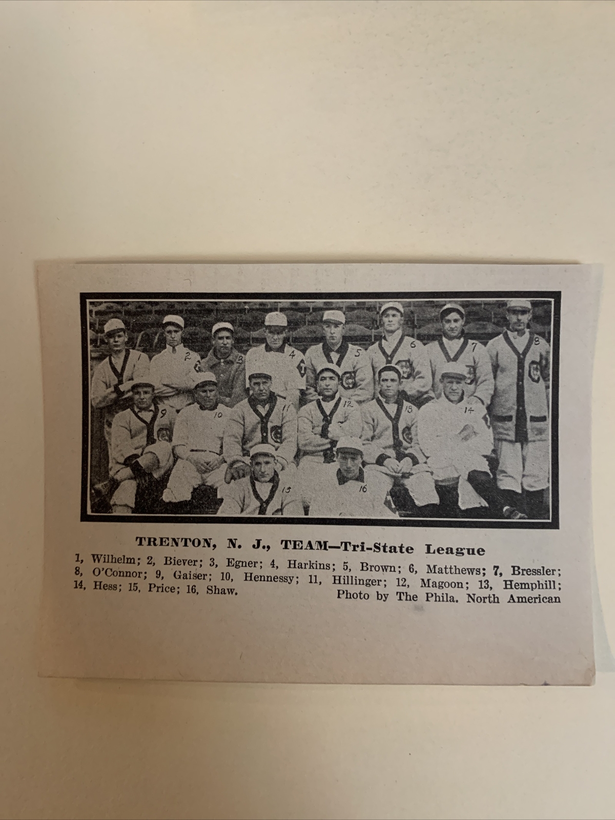Trenton Tigers NJ Tri State League George Magoon 1909 Baseball Team ...