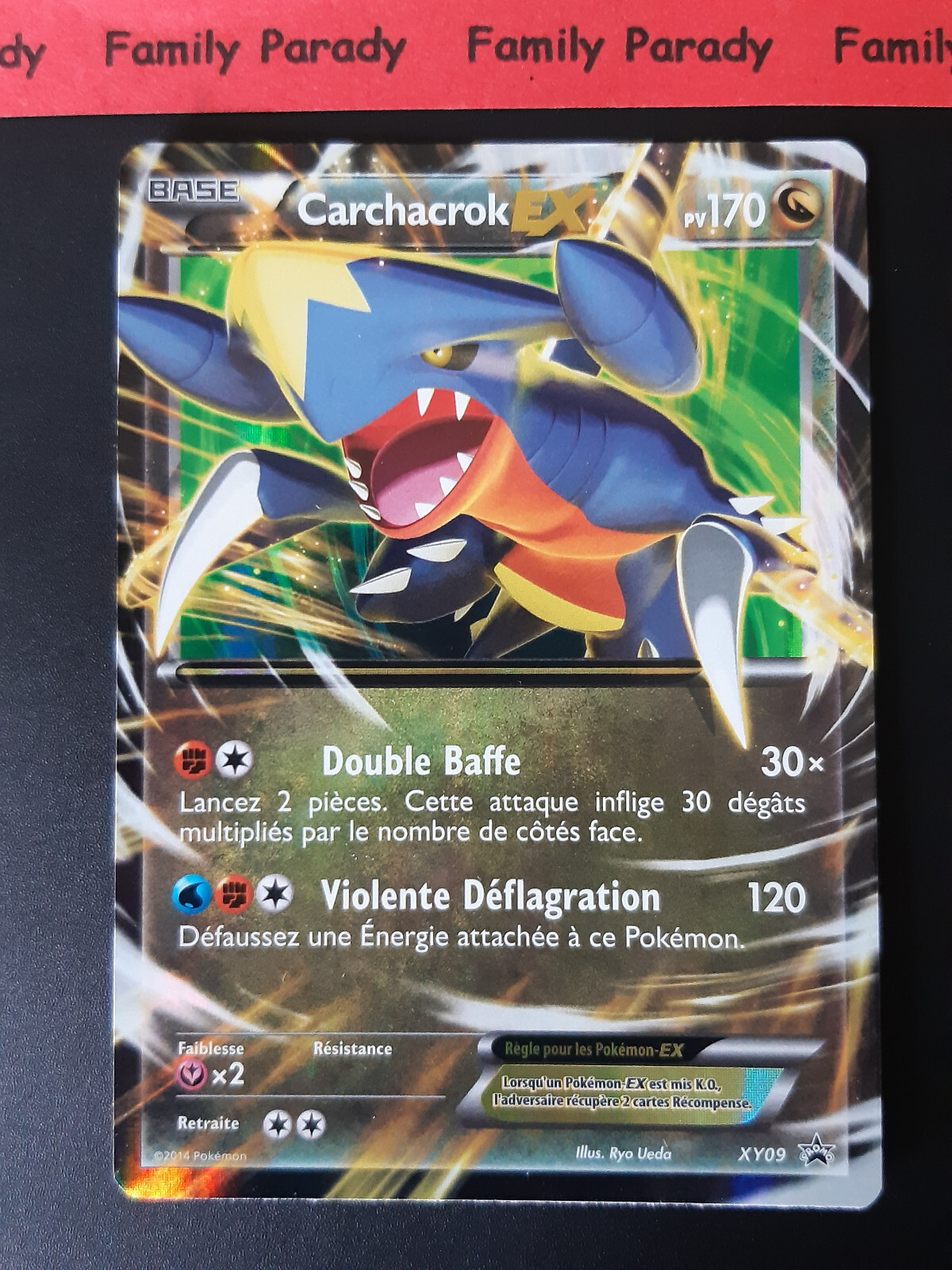 Mega Garchomp Ex Card