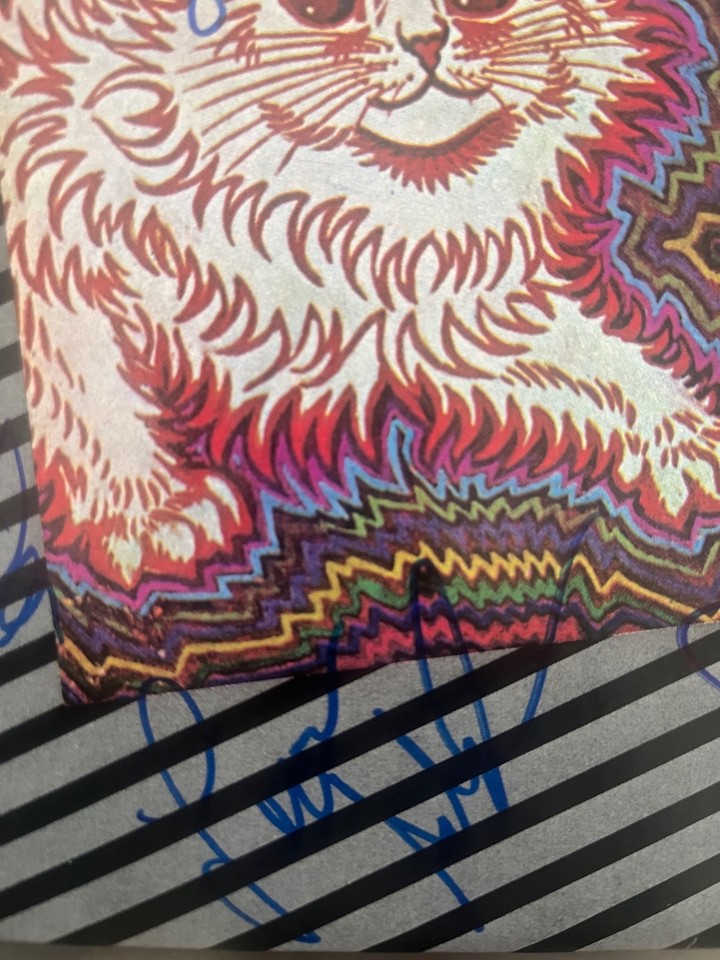 Oingo Boingo : Only A Lad fully signed BY 8 autographed Lp Elfman ...