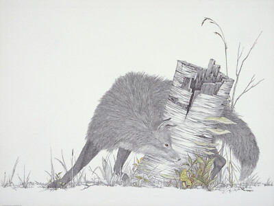 PETER PARNALL XRare Vtg 1972 OOP Open Ed Colored Halftone Litho Print ...