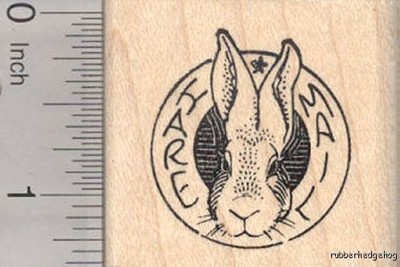 Hare Mail Bunny rubber stamp E11619 WM | eBay
