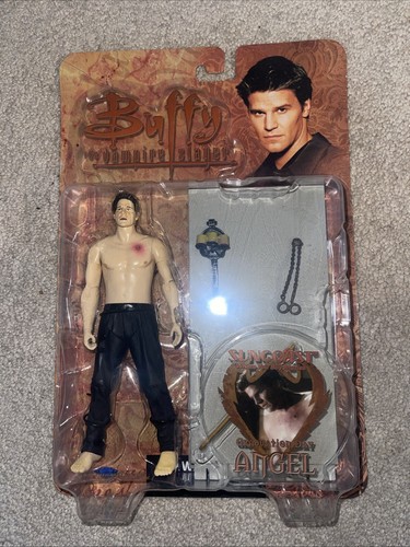 Buffy the Vampire Slayer Angel “Graduation Day” Suncoast Diamond Toys ...