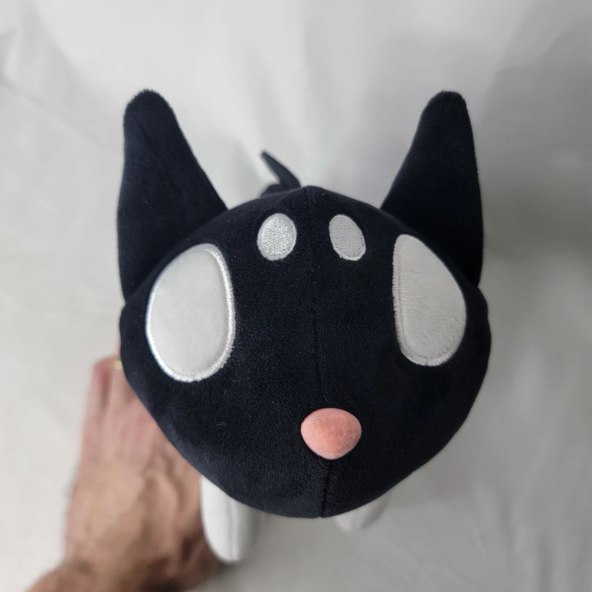 Night Vale Khoshekh Kittens