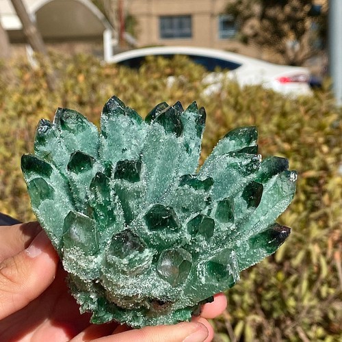 429G New Find green Phantom Quartz Crystal Cluster Mineral Specimen ...