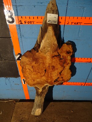A2134 7/8" THICK spalted cherry burl live edge slab kiln dried | eBay