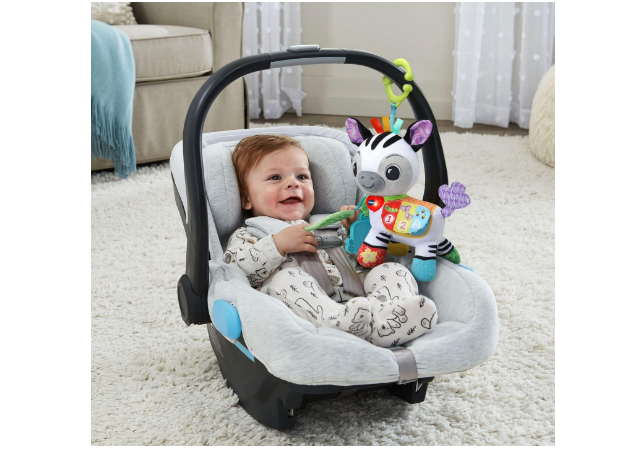 Educational Zebra Toy Songs Melodies Numbers Toddler Interactive ...