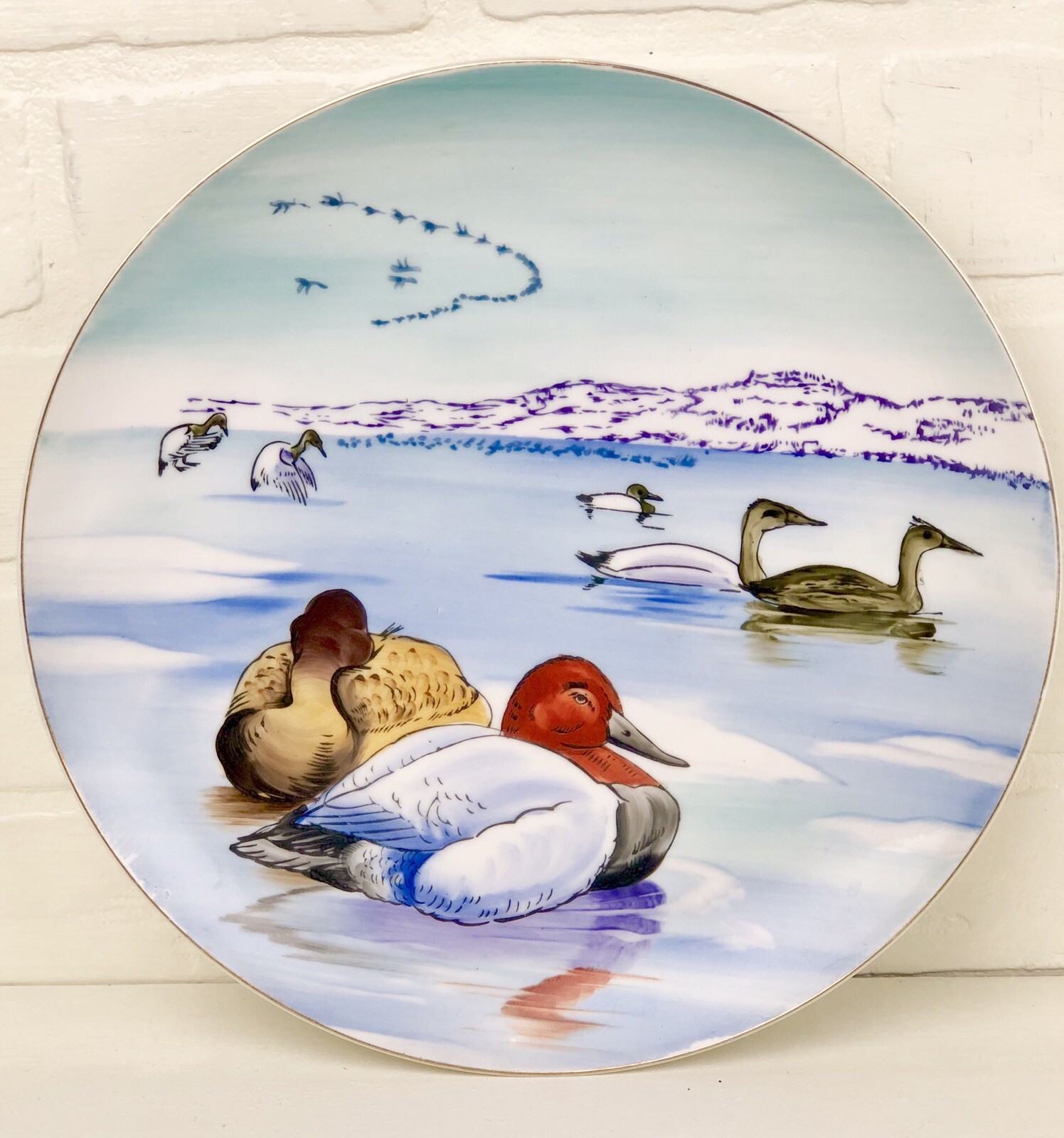 Redhead Ducks Loons Geese Mallards Decorative Plate Painted Plate | eBay