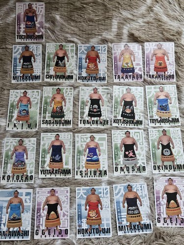 Sumo Wrestler Trading Cards 21-Card Set mitakeumi takakeisho ichinojo ...