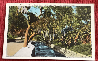 Vintage St. Petersburg Florida Postcard ravine in Roser Park | eBay