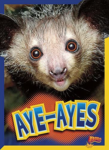 Gail Terp Aye-Ayes (Hardback) Curious Creatures (UK IMPORT ...